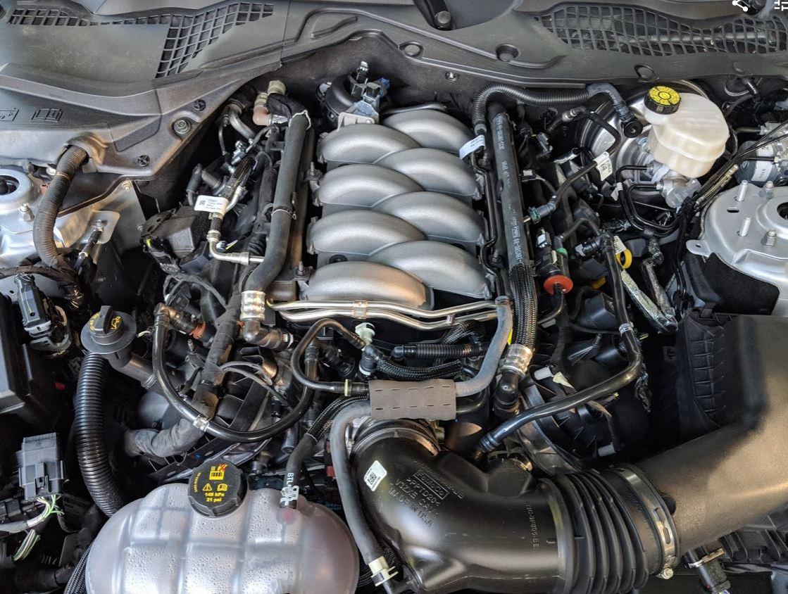 Engine Bay Mods | Page 6 | 2015+ S550 Mustang Forum (GT, EcoBoost ...