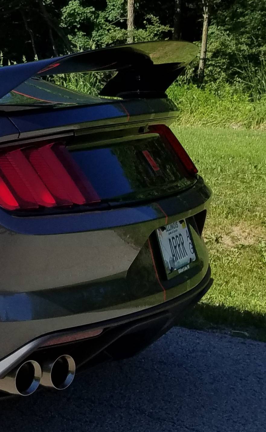 Custom Plate Ideas | 2015+ S550 Mustang Forum (GT, EcoBoost, GT350 ...