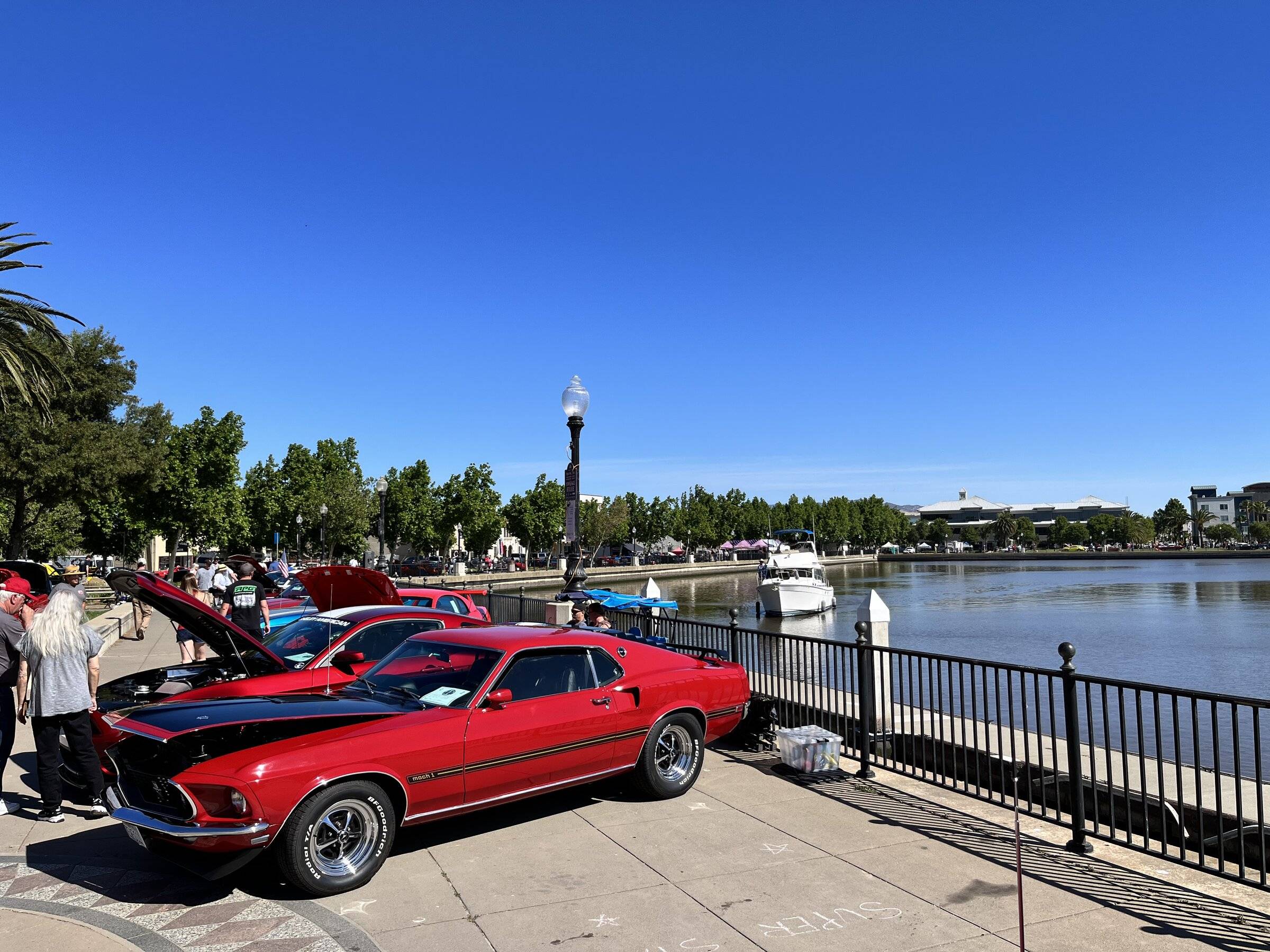 Photos from MCA National show California | 2015+ S550 Mustang Forum (GT ...