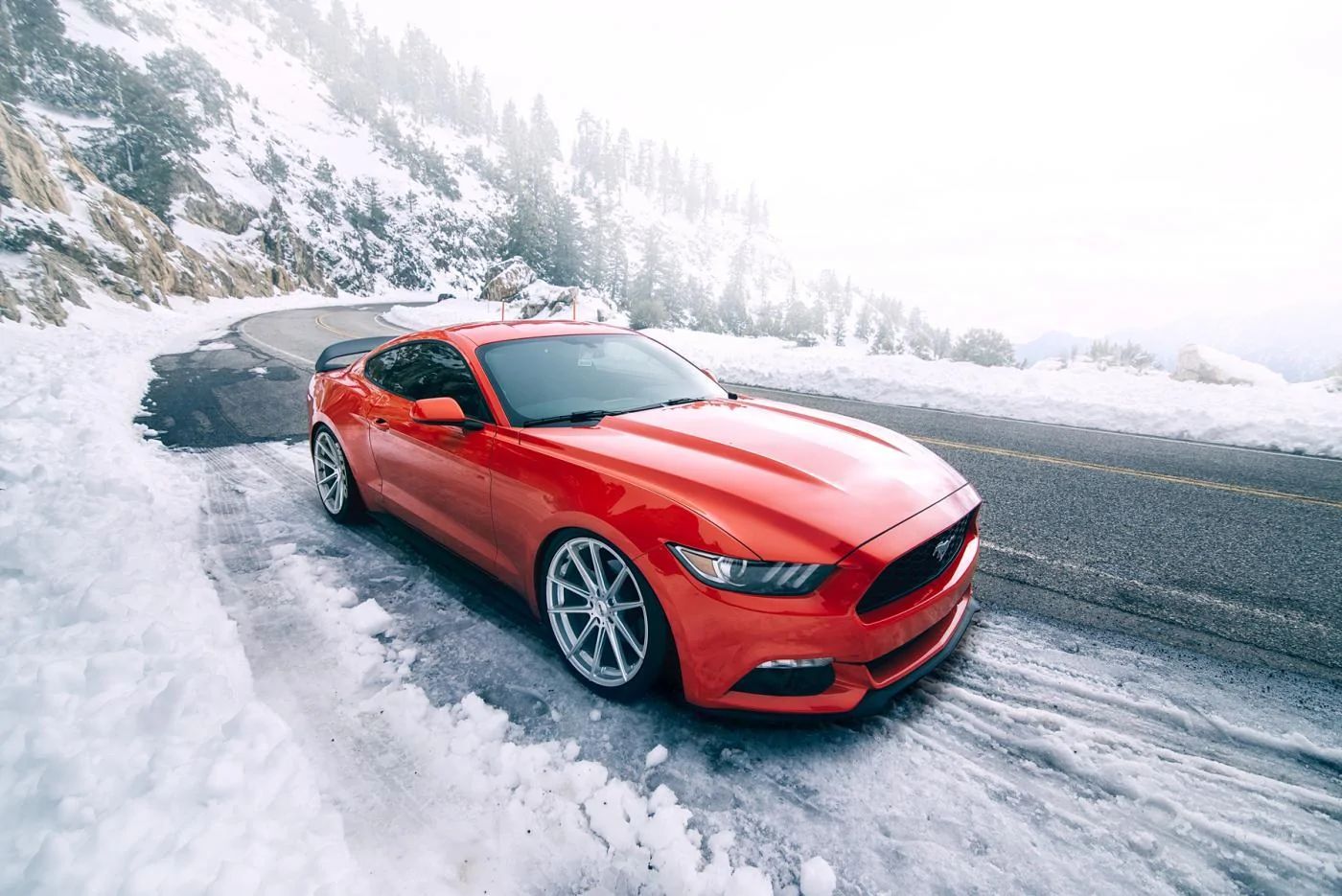 The Photography Hangout Thread | Page 44 | 2015+ S550 Mustang Forum (GT ...