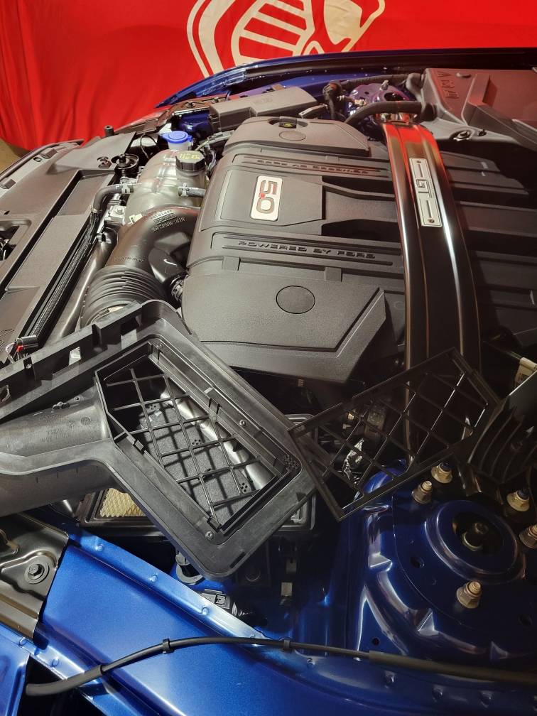 2022 Mustang Air Filter and Hydrocarbon trap | 2015+ S550 Mustang Forum ...