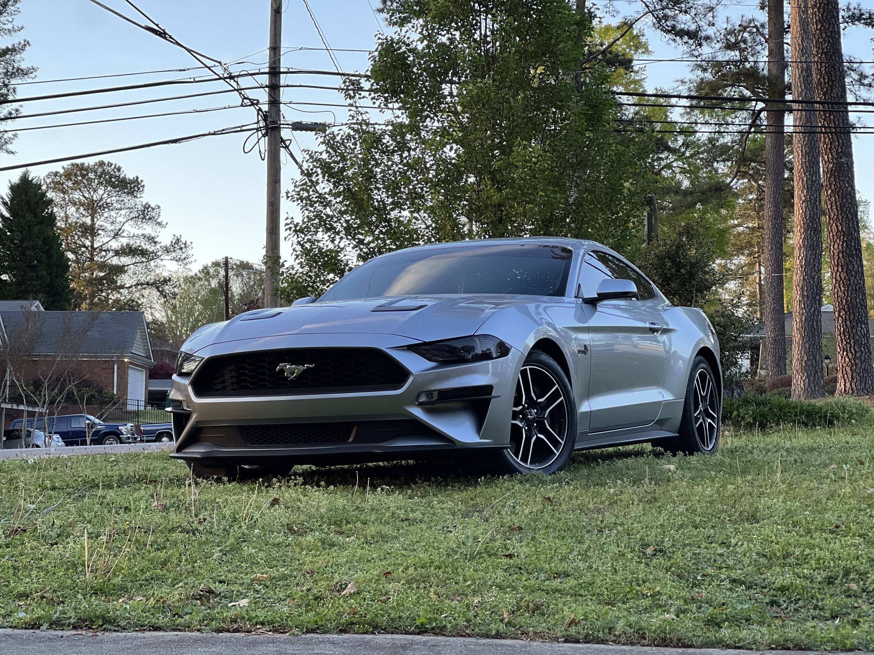 285 vs 305 Rears | 2015+ S550 Mustang Forum (GT, EcoBoost, GT350, GT500 ...