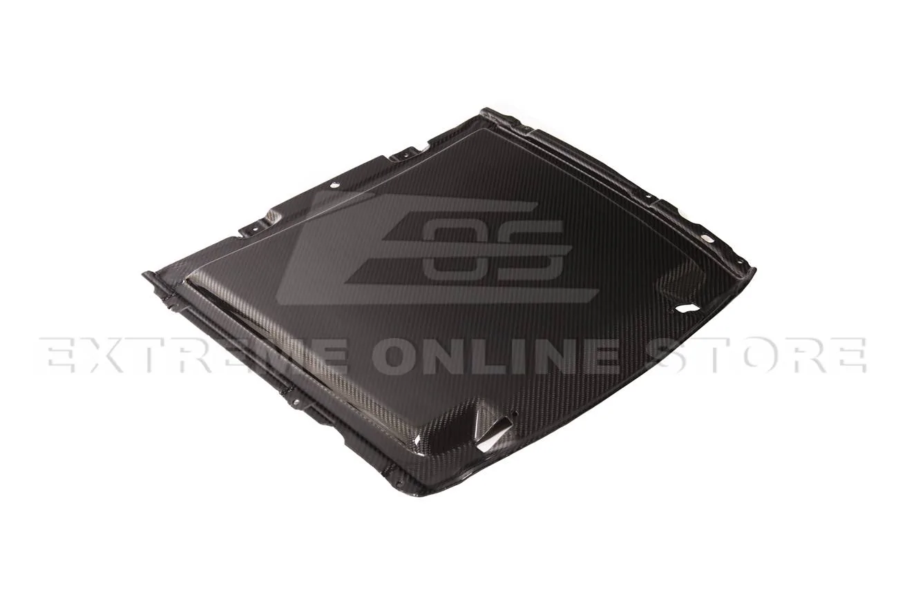 2020-Up Ford Mustang GT500 Carbon Fiber Rain Tray Cover | 2015+ S550 ...