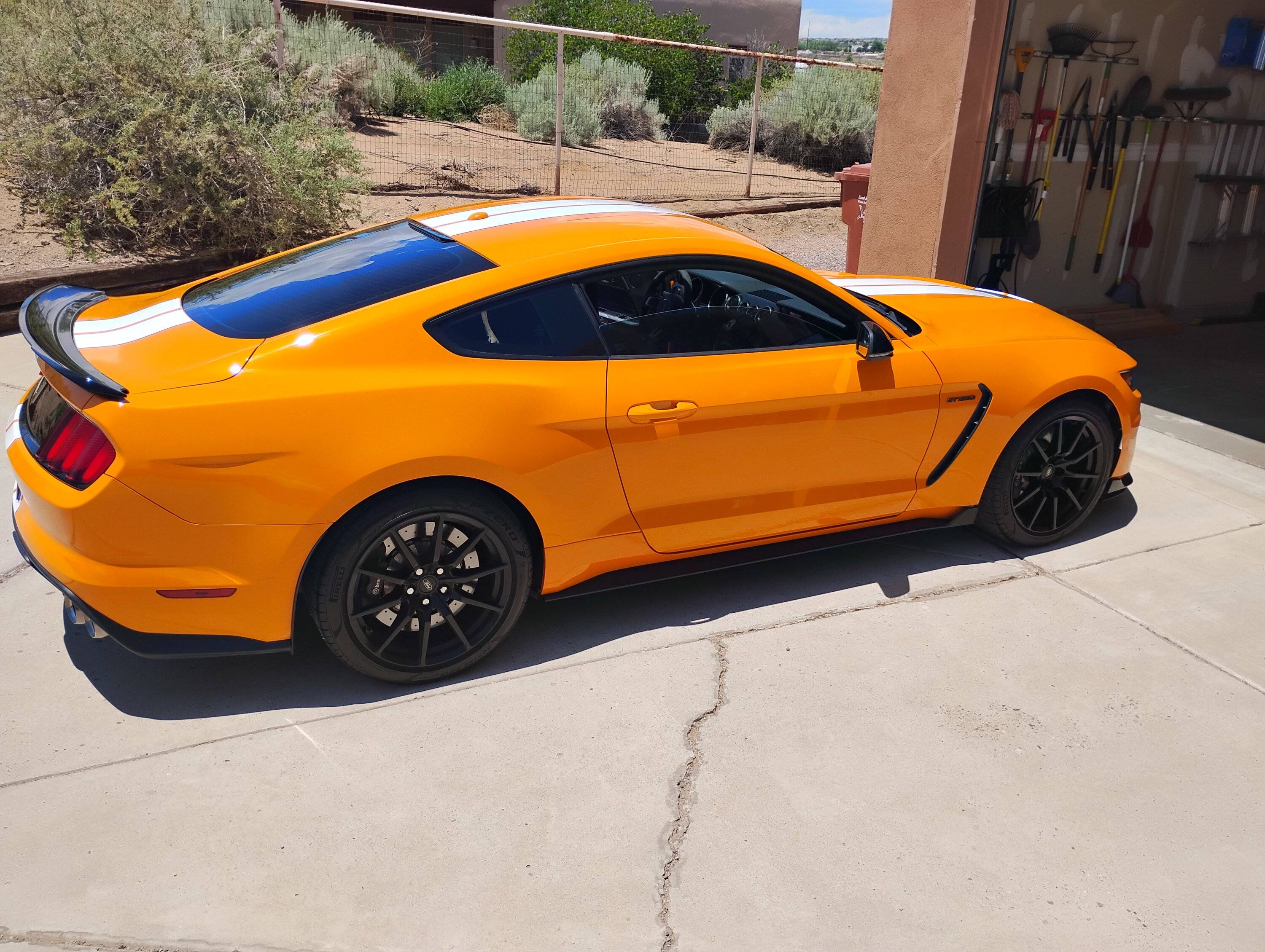 My CarMax GT350 purchase experience | Page 2 | 2015+ S550 Mustang Forum ...