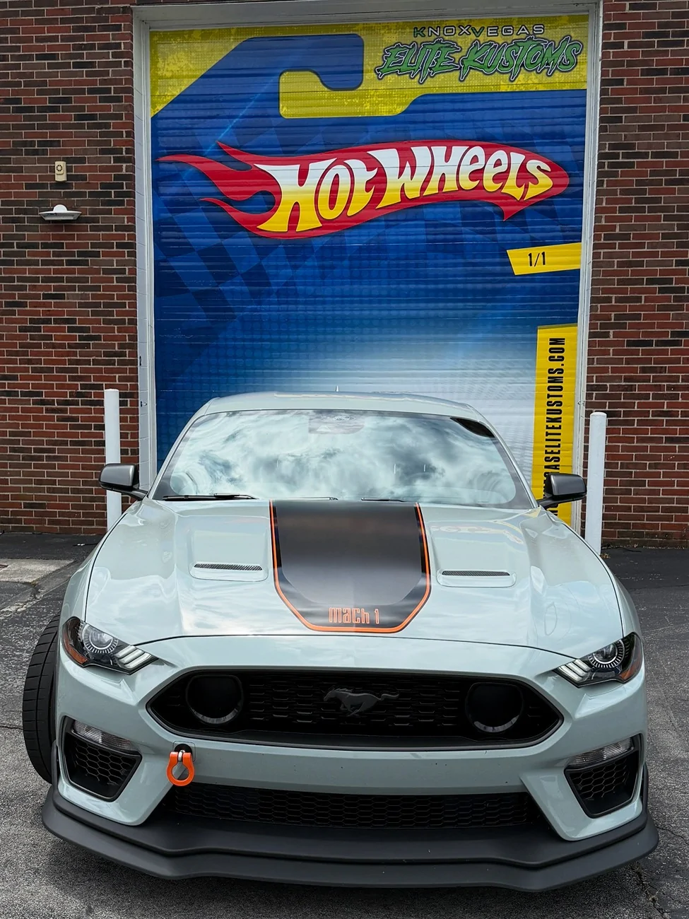 Mach 1 Hood Decal, Color outlined??????? | 2015+ S550 Mustang Forum (GT ...
