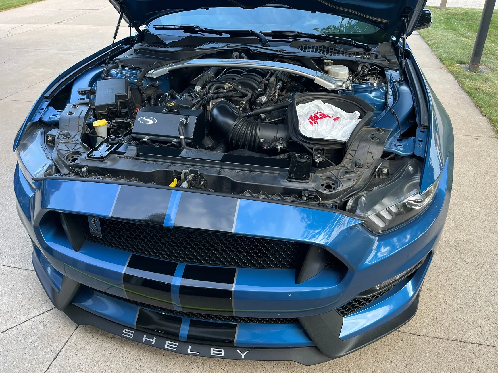 Engine Bay Detail | 2015+ S550 Mustang Forum (GT, EcoBoost, GT350 ...