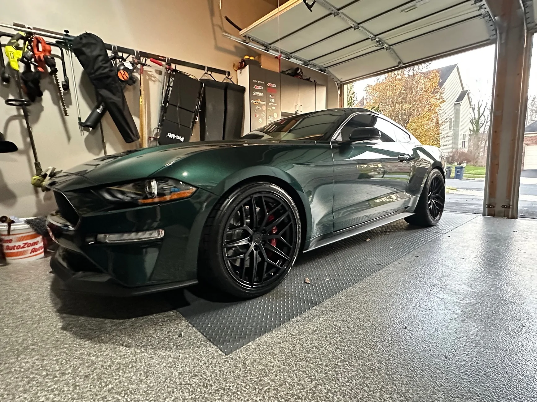 Do you take cell phone pics constantly of your s550 ? Post them here ...