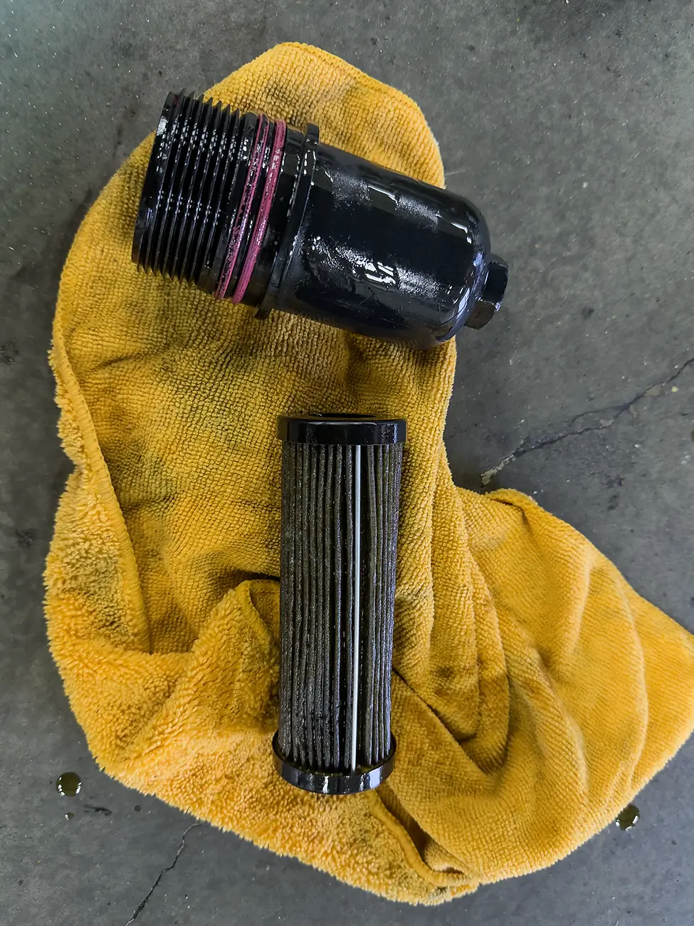 Time to Polish Again | Page 3 | 2015+ S550 Mustang Forum (GT, EcoBoost ...