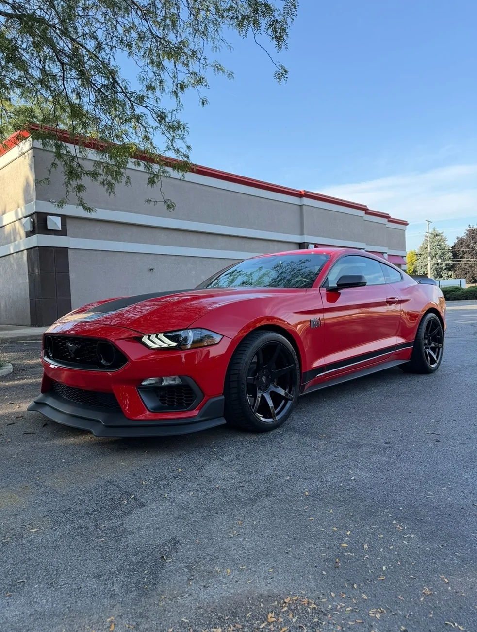 I Think I Bought A Brand-New 2022 Mach 1 In 2025 | 2015+ S550 Mustang ...